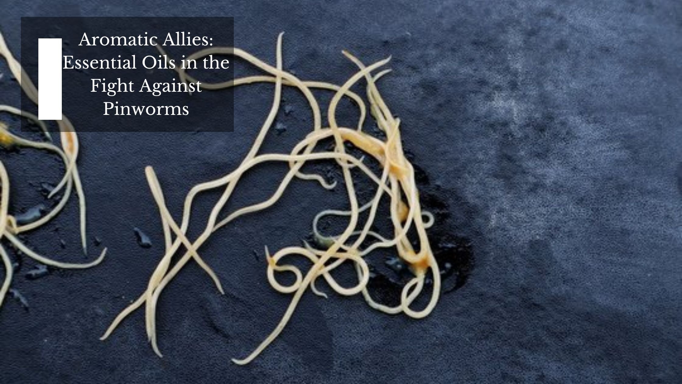 Aromatic Allies: Essential Oils in the Fight Against Pinworms – Moksha ...