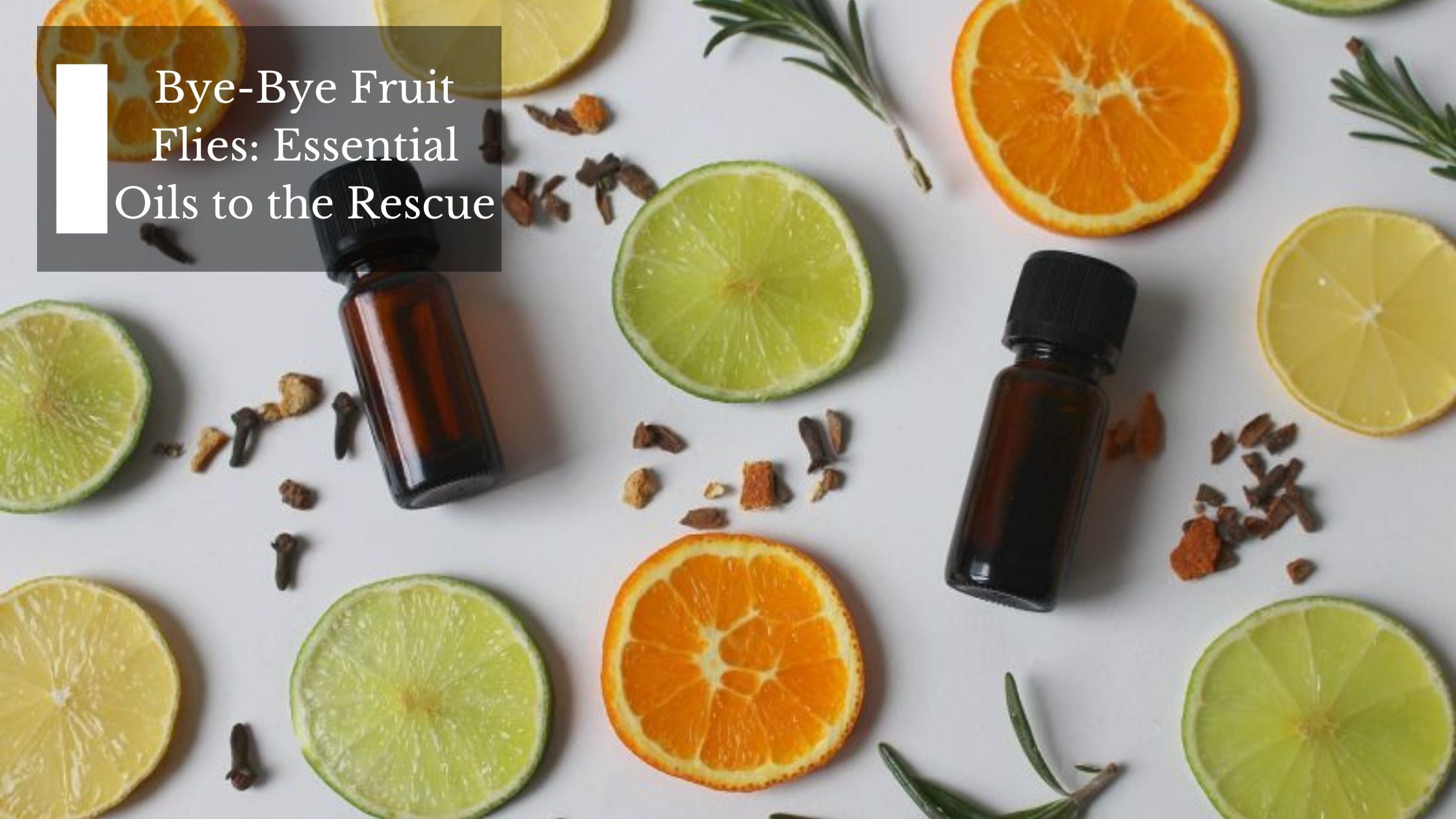 Bye-Bye Fruit Flies: Essential Oils to the Rescue – Moksha Essentials Inc.